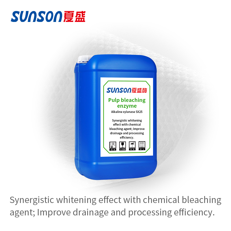 Alkaline xylanase SX25 for bleaching in pulp & paper industry